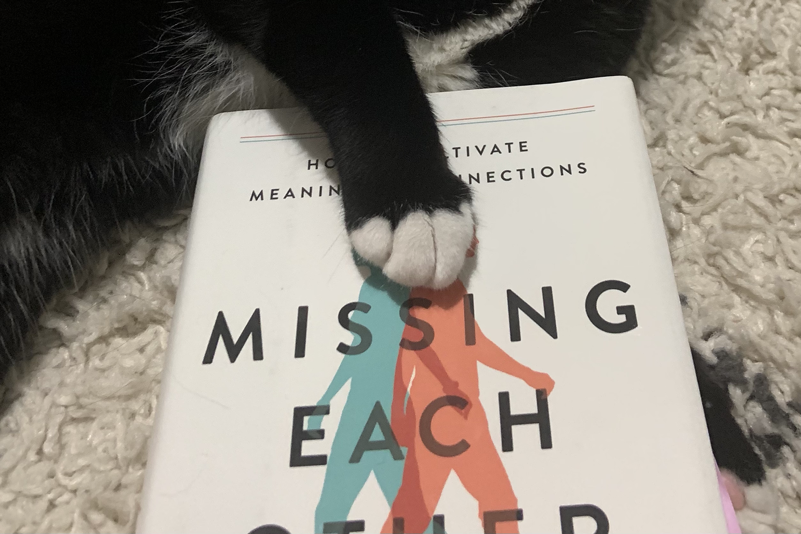 Social Synchrony: Staying Connected through Attunement - SNF Paideia ...