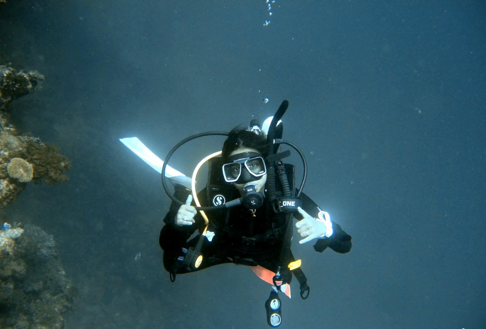 Diving into a Discovery Project with Passion and Purpose - SNF Paideia ...